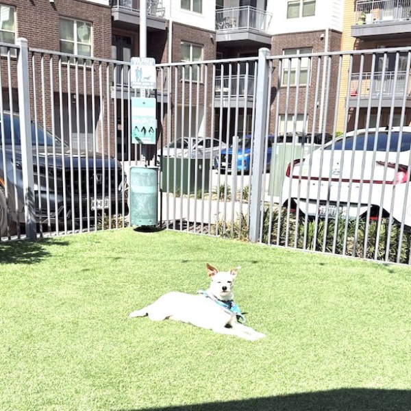 Katy apartments for rent | Encore Motif